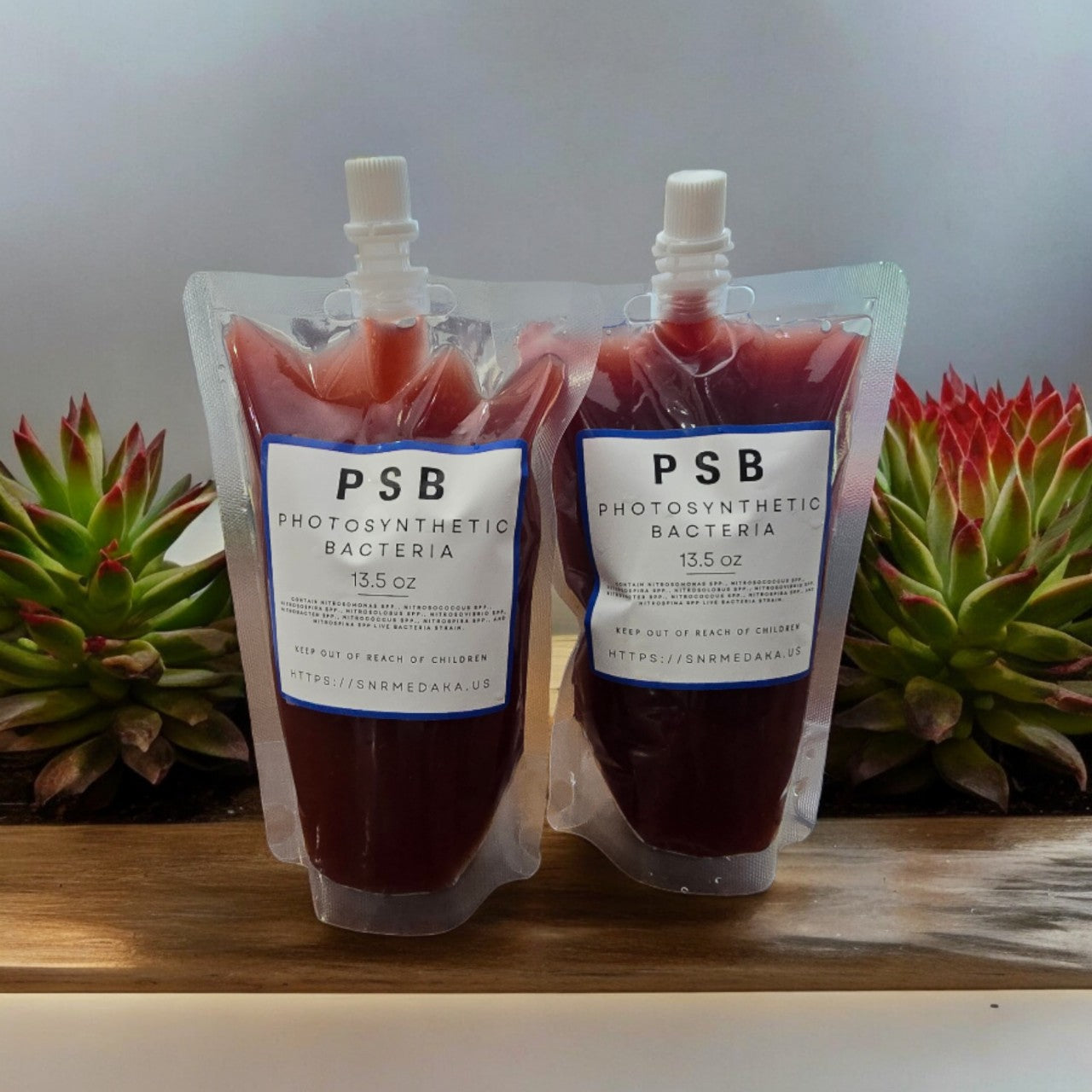 Photosynthetic Bacteria (PSB) – medakafix